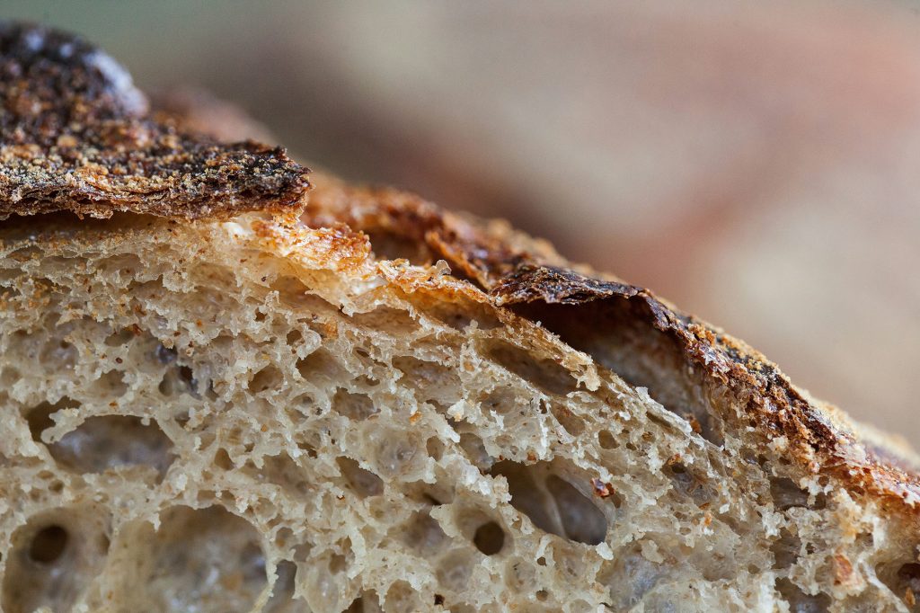 Troubleshooting Common Sourdough Problems | Rise & Sourdough